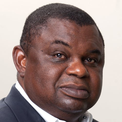 Prof Sylvanus Ikhide | Stellenbosch Business School