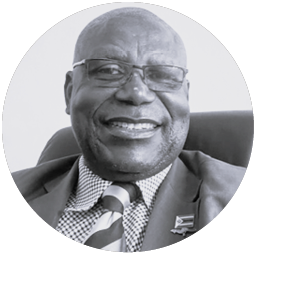 Zimbabwe Thought Leadership Networking Panel