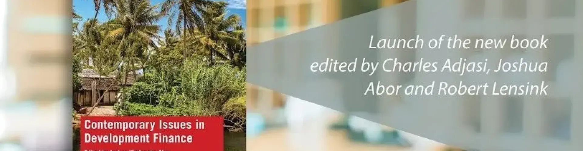 Exploring Development Finance Challenges